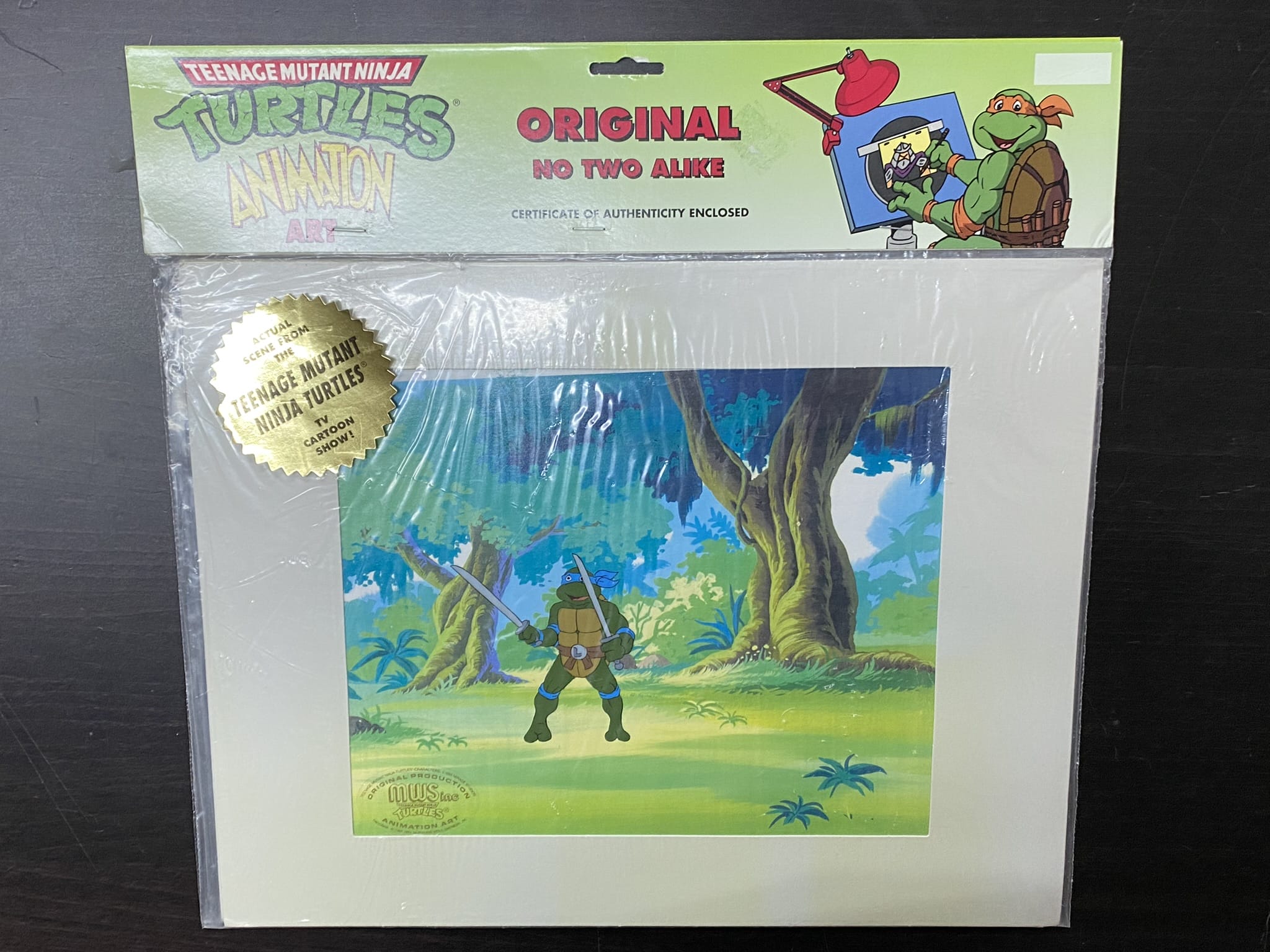 Teenage Mutant Ninja Turtles Cartoon Cell Signed Animation Art